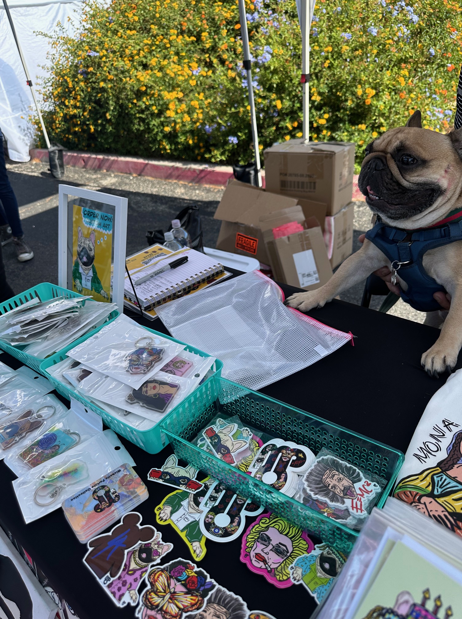 Pop Up Events – Michelle Portillo Collection